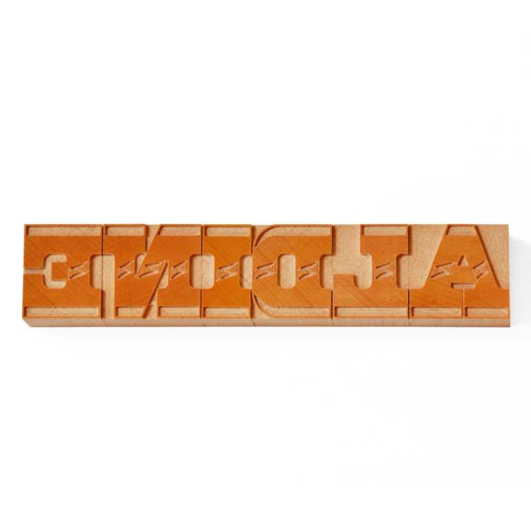 Bifur – Wood type | Wood Type Customs