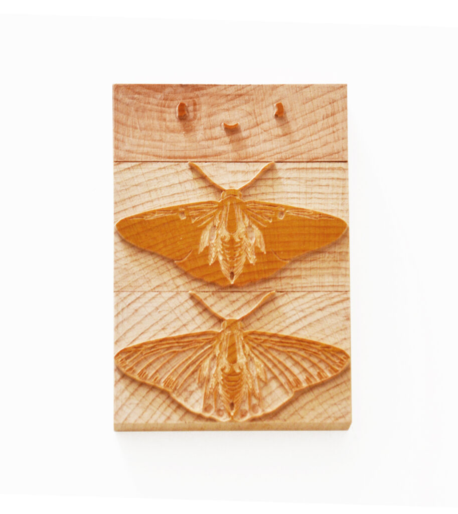 Butterfly Guava Skipper – Wood type | Wood Type Customs